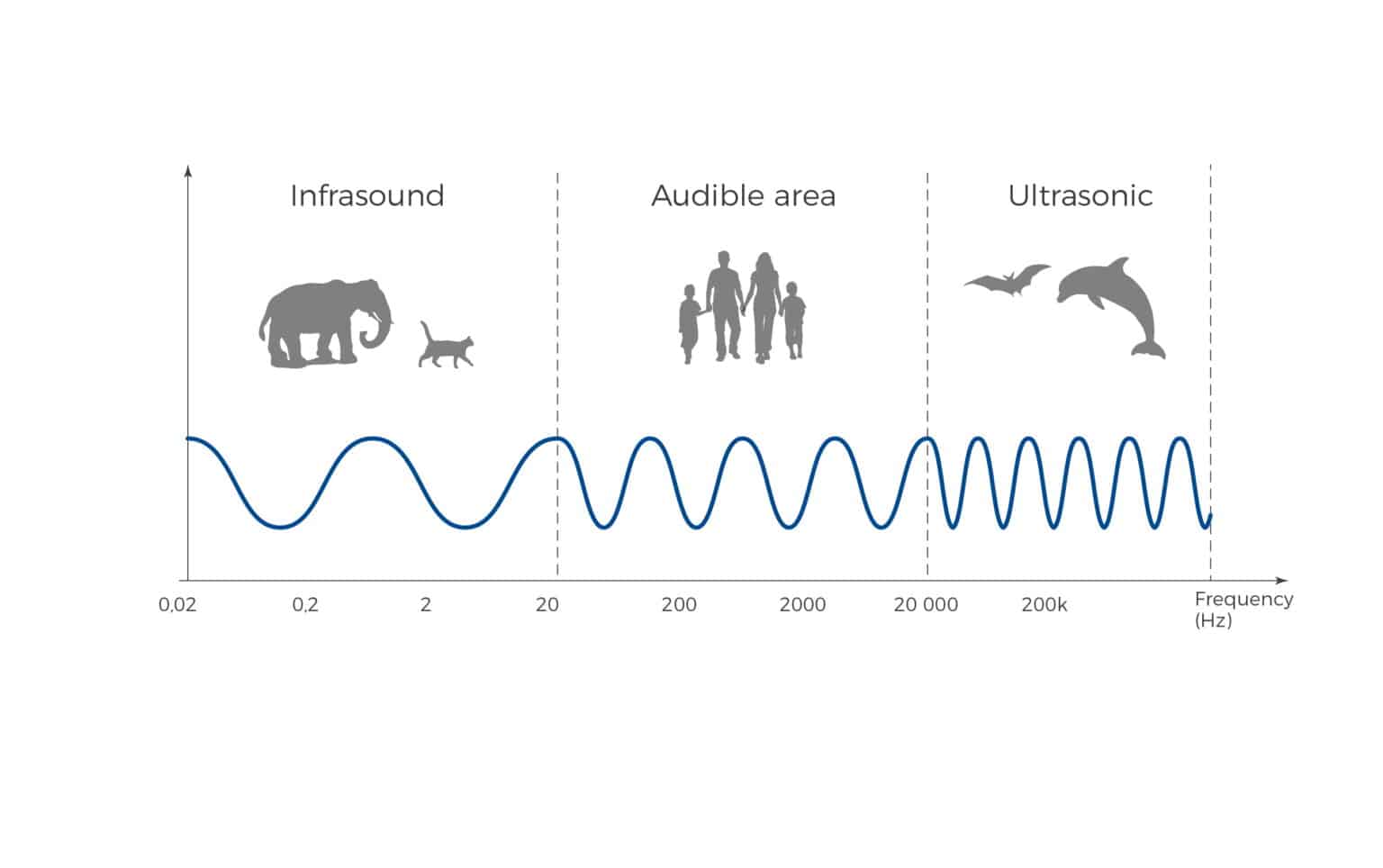 Sound wave definition, characteristics, and use in acoustics.